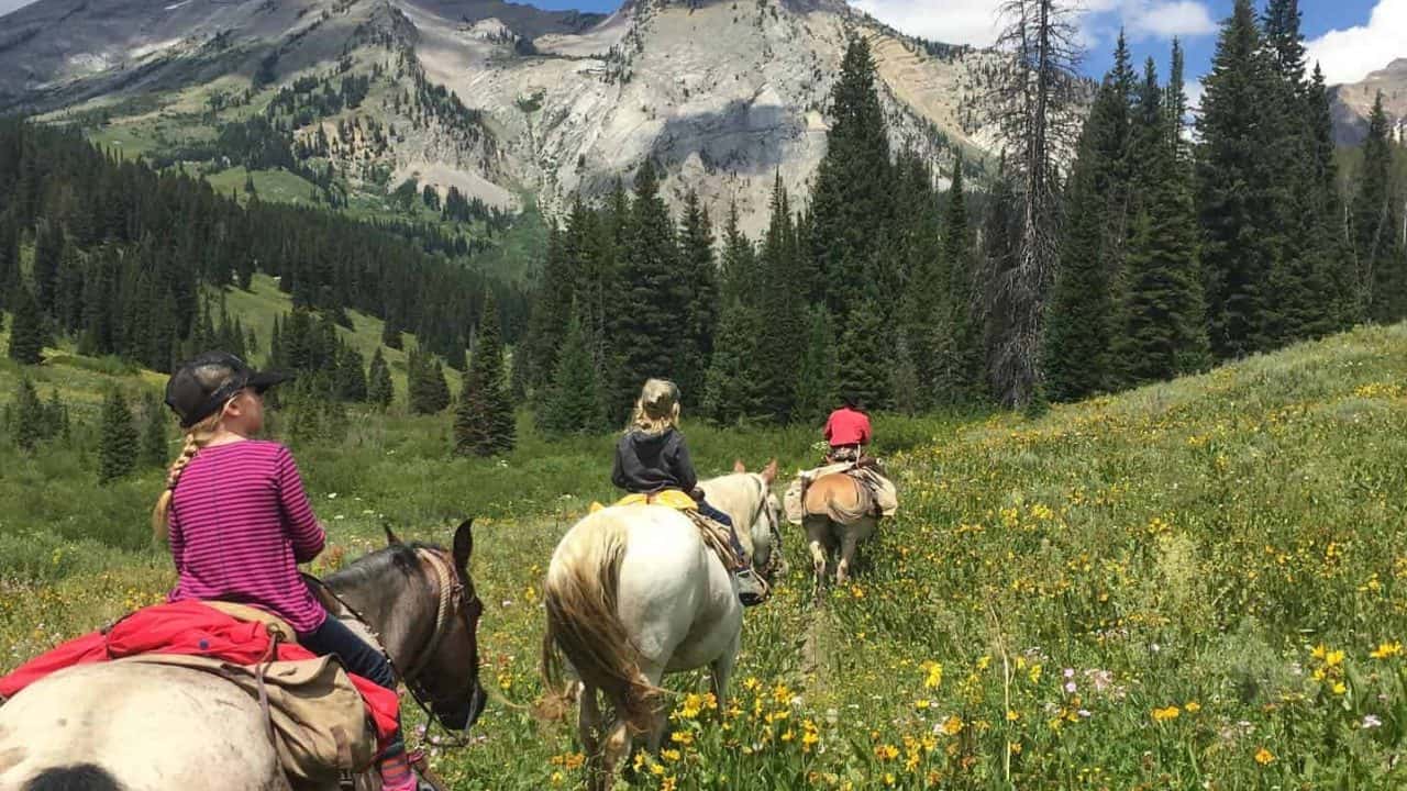 Horseback Riding Jackson Hole | Shoal Creek Outfitters