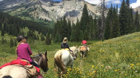 Horseback Riding Jackson Hole | Shoal Creek Outfitters